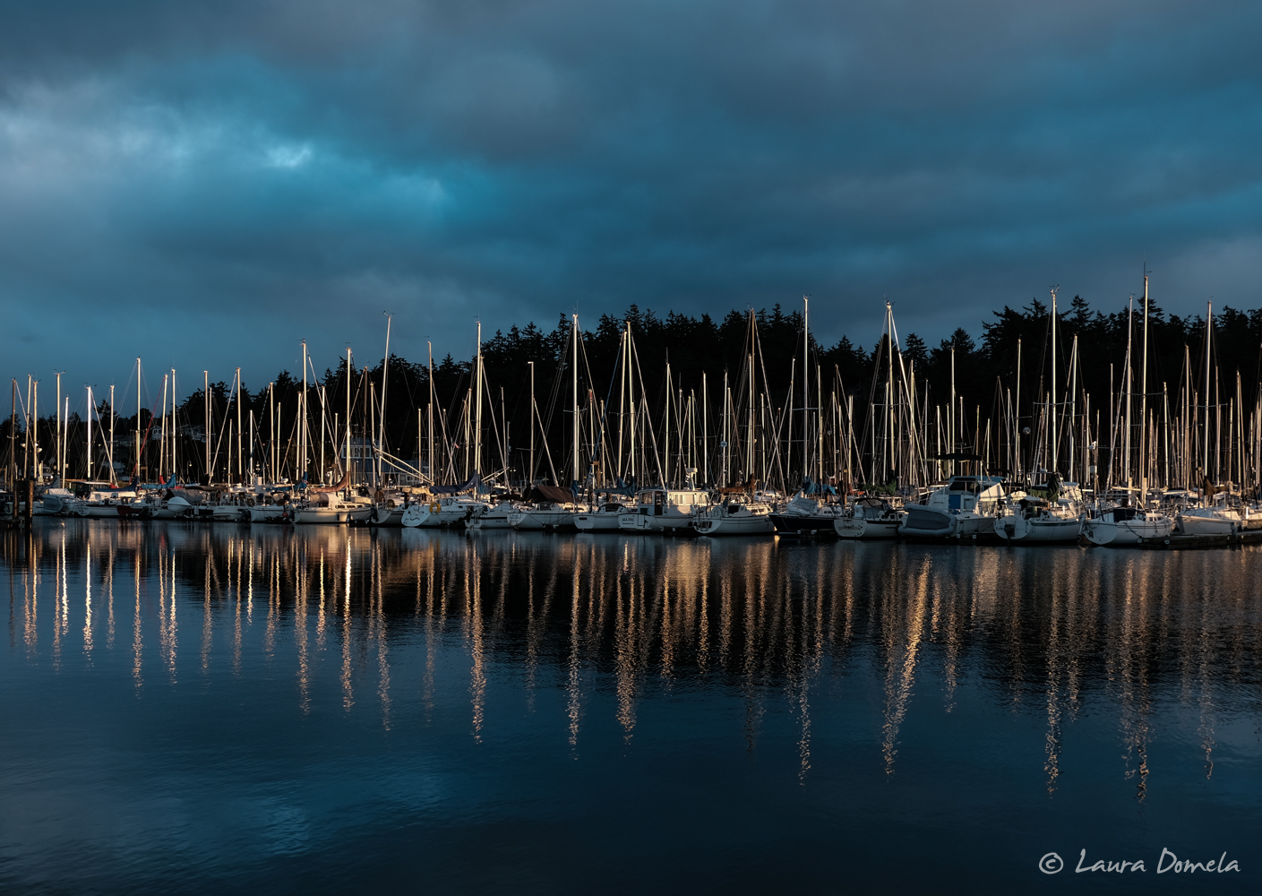 anacortes – Riveted