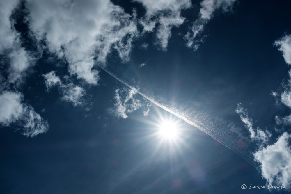 sun-0032 – Riveted